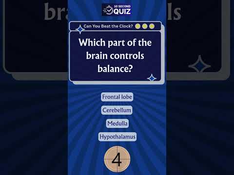 Which part of the brain controls balance