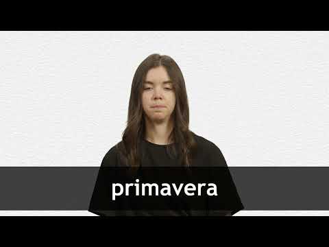 English Translation of “PRIMAVERA” | Collins Spanish-English Dictionary