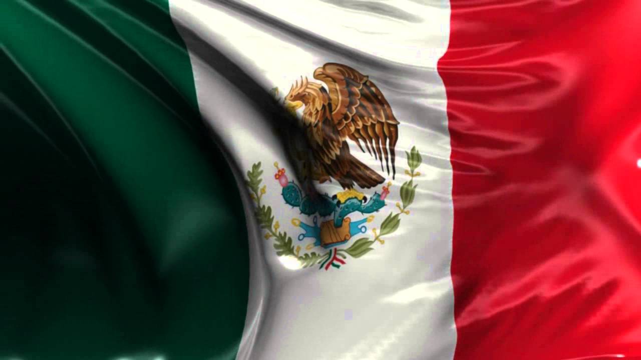 Video loop Bandera México
