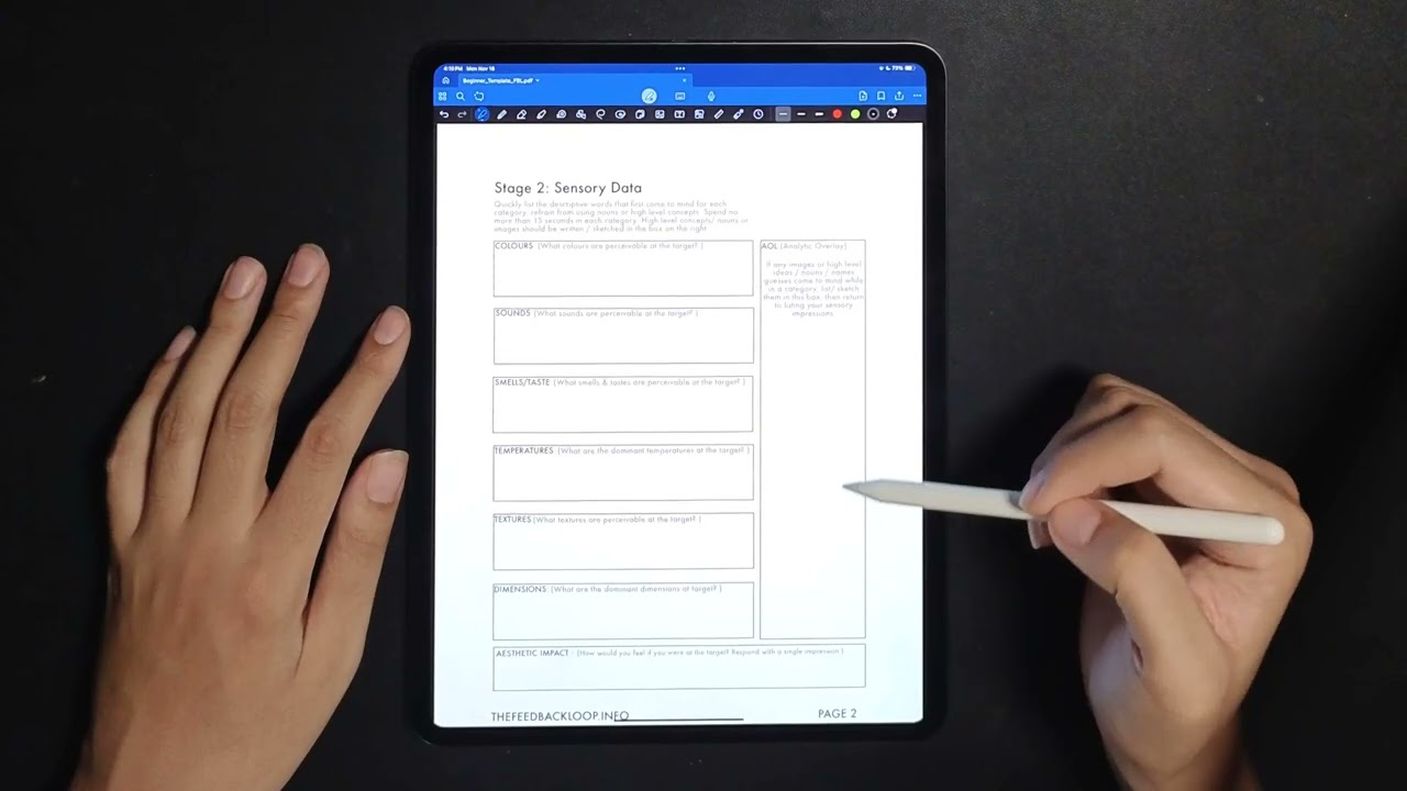 Beginners Remote Viewing Template + Guide ( Free Download )