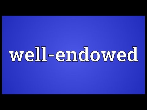 Well-endowed Meaning