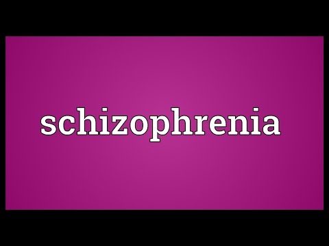 Schizophrenia Meaning