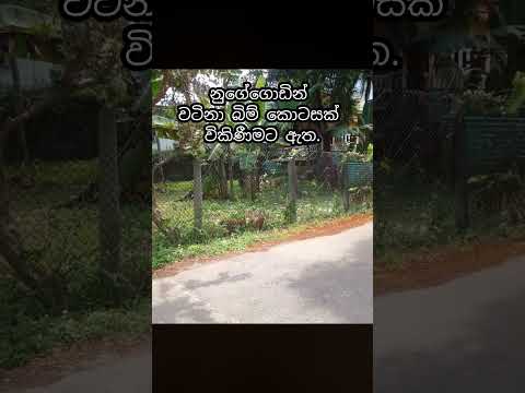Land for sale in Nugegoda | Colombo Land #nugegoda #colombo #landforsalesrilanka #sell