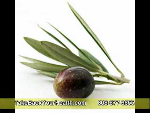 The Benefits Of Proteolytic (Systemic) Enzymes