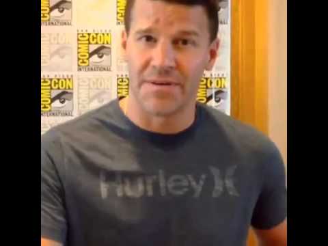 David Boreanaz's Instagram Video