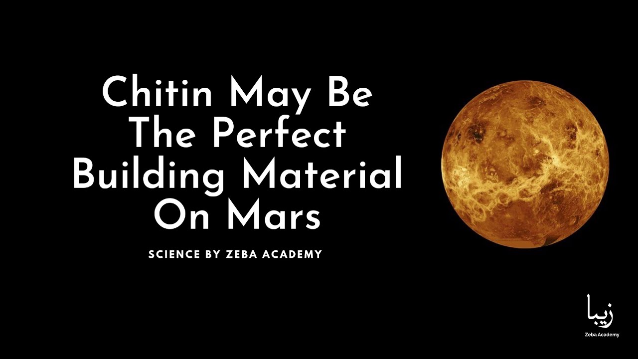 Chitin May Be The Perfect Building Material On Mars