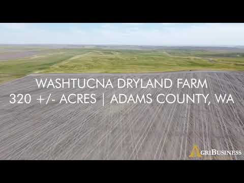 SOLD! WASHTUCNA DRYLAND FARM FOR SALE - $550,000