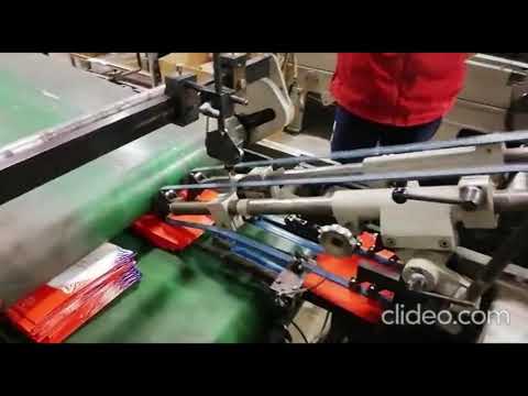 Bobst Domino 100 M - Folder Gluer | PP LION
