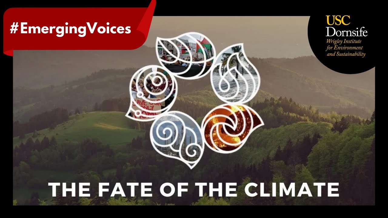 COP29: The Fate of the Climate