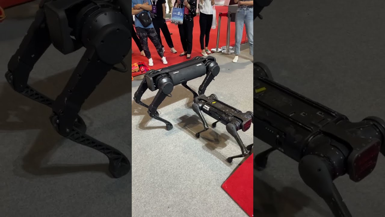 Unitree - B1 and AlienGo in WRC 2021