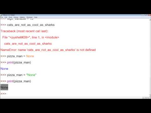 Python Tutorial 21 - How to test if a Variable has a Value (is None)