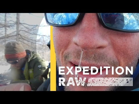 Wolverine Research Isn’t Pretty | Expedition Raw