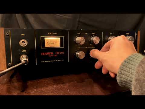 Hawk HR-202 Spring Reverb Unit Vintage | Reverb UK