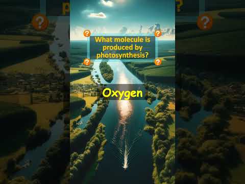 Science Trivia 6 #trivia #science #biology #knowledge #quiz #learning #challenge #usa #viral #facts