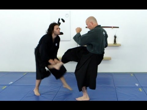 Ninjutsu Kicks | AKBAN