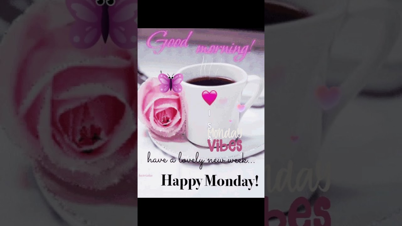#happy Monday blessings “🙏🏻🙏🏻🌷🌷🌷🦋