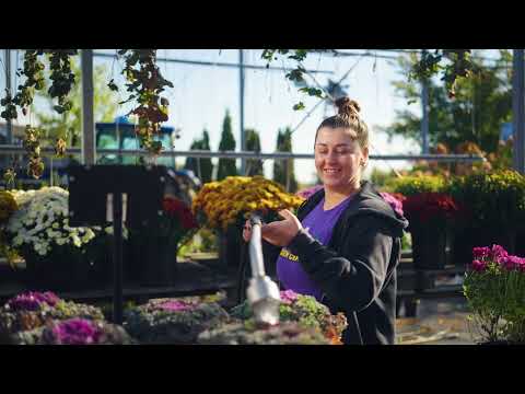 Explore Opportunities in the County of Simcoe, Barrie and Orillia | Made in Simcoe