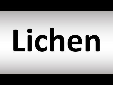 How to Pronounce Lichen