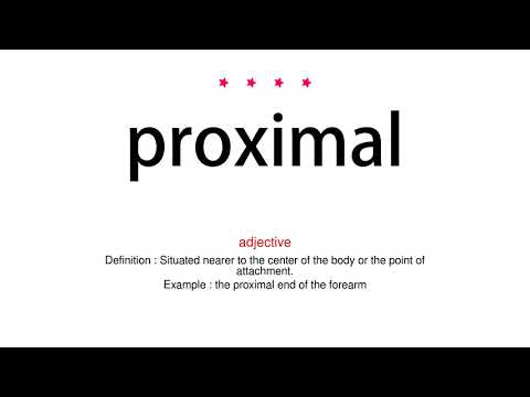 How to pronounce proximal - Vocab Today