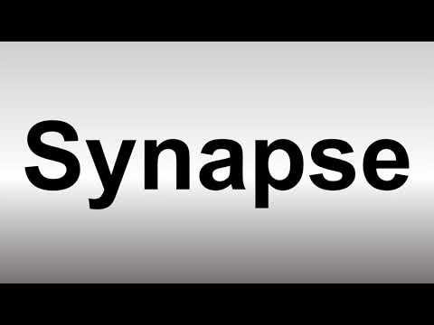 How to Pronounce Synapse