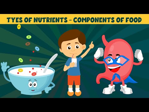 Types of Nutrients - Components of Food - Video for Kids - Learning Junction