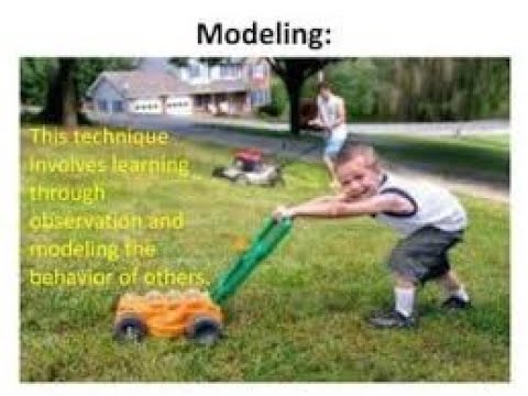Modeling