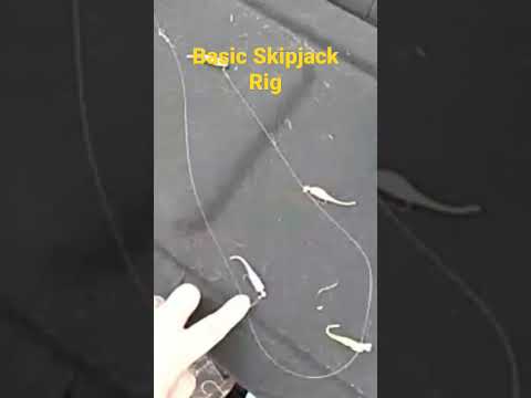 Favorite Skipjack Rig