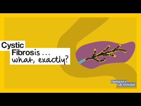 Pancreas | How does cystic fibrosis affect the body?