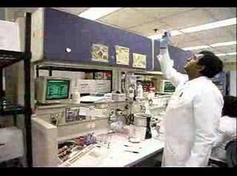 Phlebotomy Technician