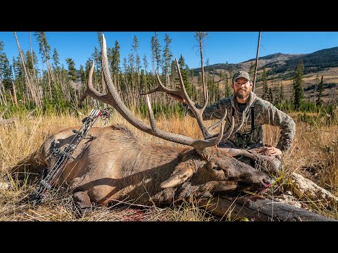 WYOMING BULL with a BOW!!! - (CRAZY Public Land Elk Hunt)