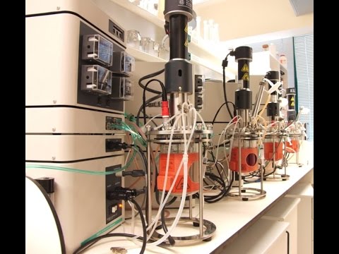 Bioprocess Engineering Strategies for Stem Cell-based Therapies and Regenerative Medicine