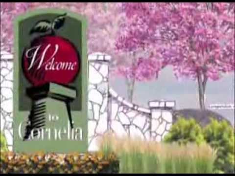 Landscape Architecture Portfolio