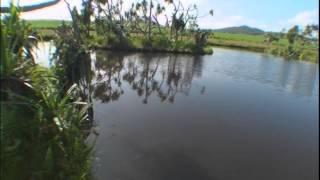 10 Things to Do in Udu Waterfall (Udu) Labasa Fiji | Gems.Travel