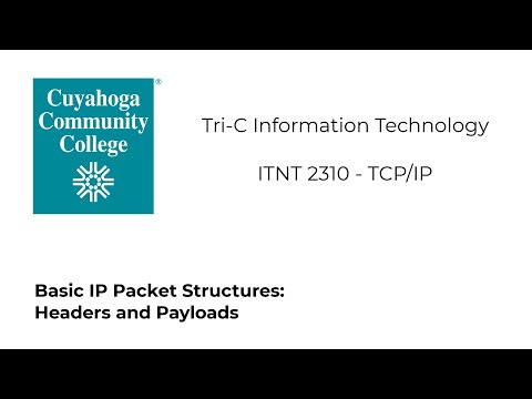 ITNT 2310 - Basic IP Packet Structures