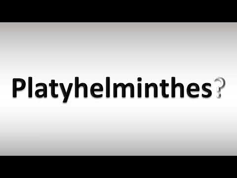 How to Pronounce Platyhelminthes