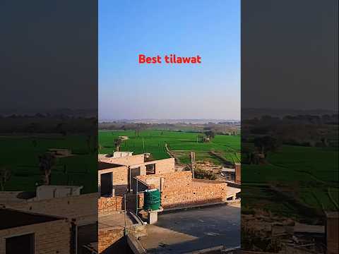 Mesmerizing Quranic Recitation Amidst Nature's Beauty | Village View Status