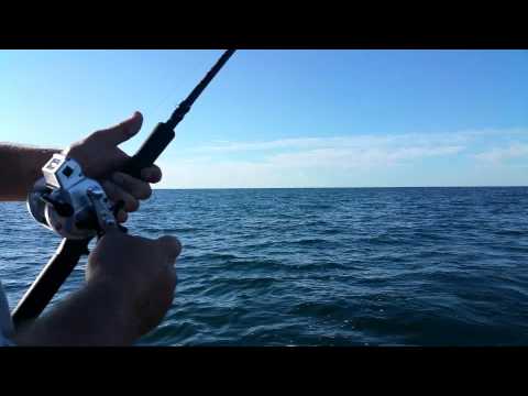 Wide Open Waters-Giant Walleye RS Nets USA