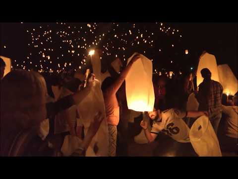 The Lights Festival