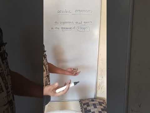 aerobic organisms meaning|@alibaba| #shorts