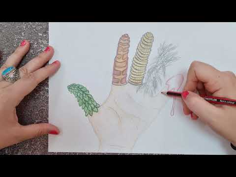 Elements of Art - (Visual texture art activity).