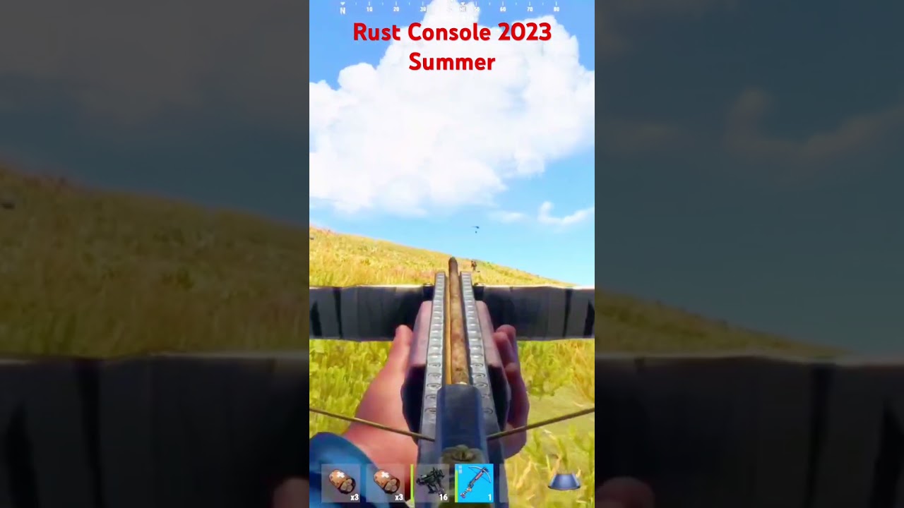 Rust Pc is bad #rustlord #rustconsole #rustgood #rusthub #gaming #rustchad #funny