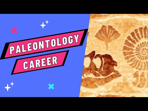 How to enter paleontology as a career in geology?