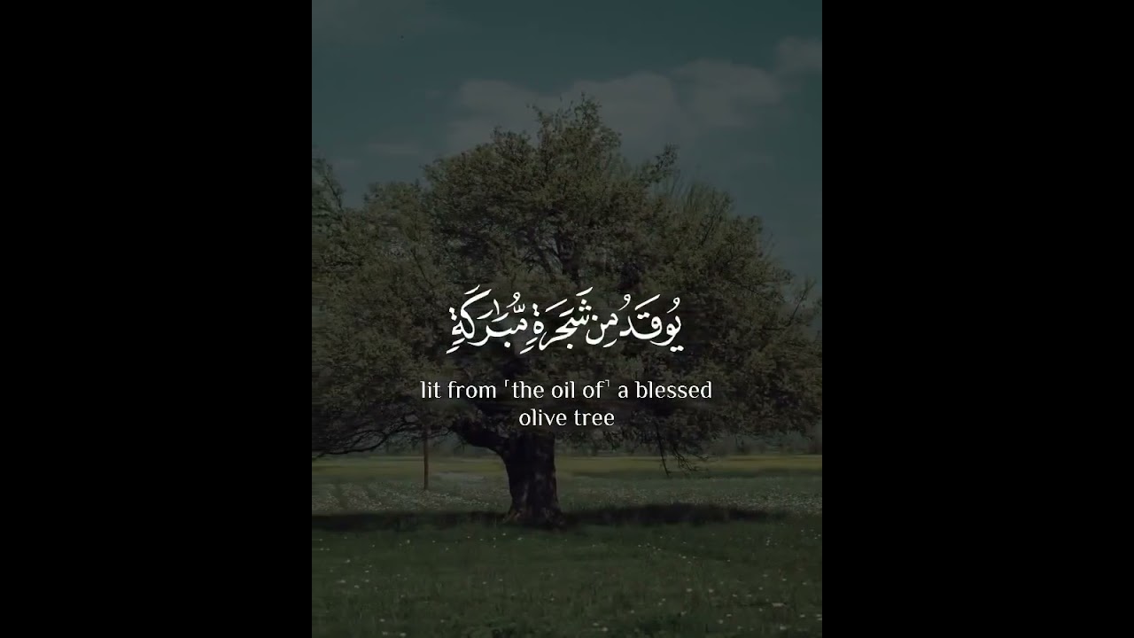 Pin on Quran #quran