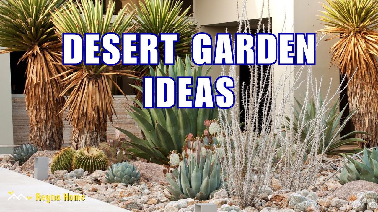 Desert Oasis Garden Ideas For Arid Climates Desert Landscape Front Yard