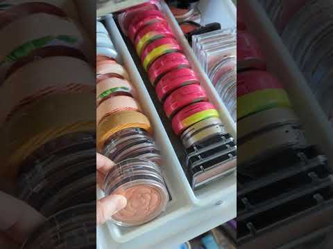 Amazing DOLLAR TREE Beauty Finds | Part 1