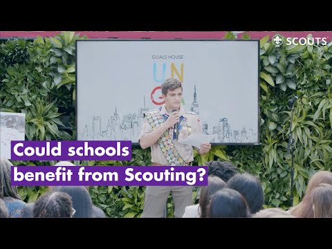 Could schools benefit from Scouting?