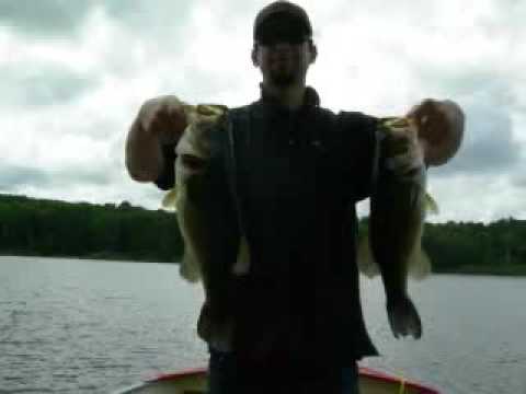 Large Mouth Bass Pictures.
