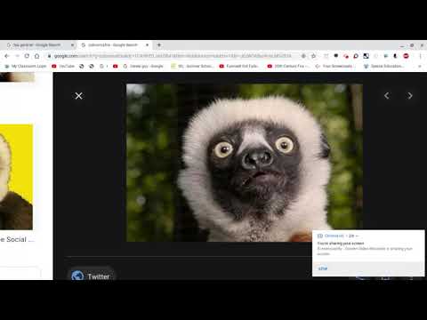 Zoboomafoo: A Lost Episode (CREEPYPASTA)