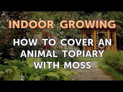 How to Cover an Animal Topiary With Moss