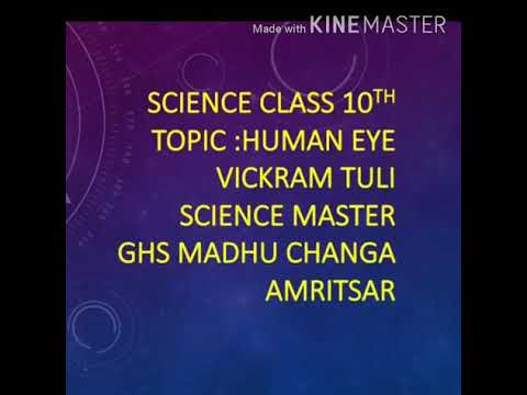 Teacher Fest July 2021 , Topic:Human Eye using Audio-Visual Aid for better understanding of students